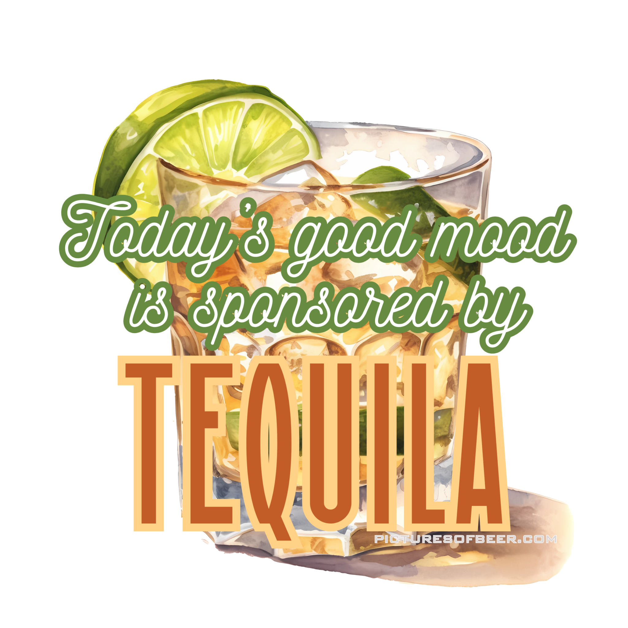 15 Funny Quotes About Drinking to Celebrate Tequila Day